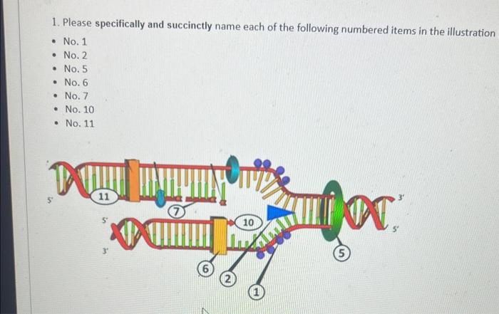 Solved 1. Please specifically and succinctly name each of | Chegg.com