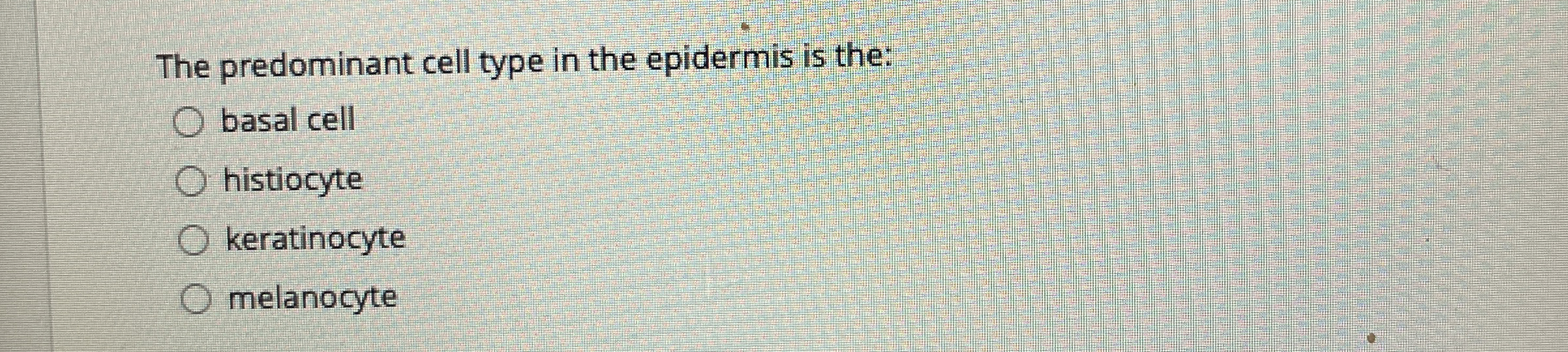 Solved The predominant cell type in the epidermis is | Chegg.com