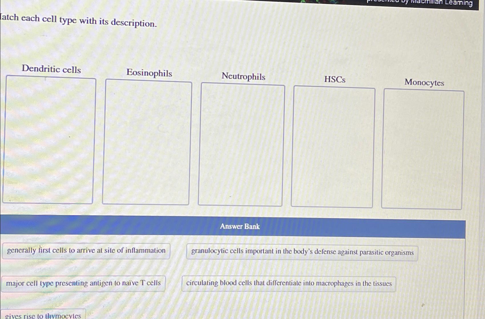 Solved latch each cell type with its description.Dendritic | Chegg.com