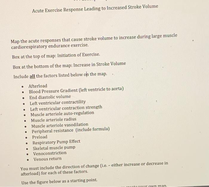 Solved Acute Exercise Response Leading to Increased Stroke | Chegg.com