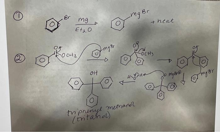 Solved (1) (o) Et2Omg Or mgBr+ neat (2) tripnenye methand | Chegg.com