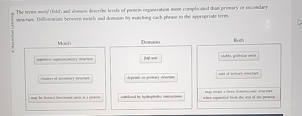 Solved The terms motif (fold) ﻿and domain describe levels of | Chegg.com