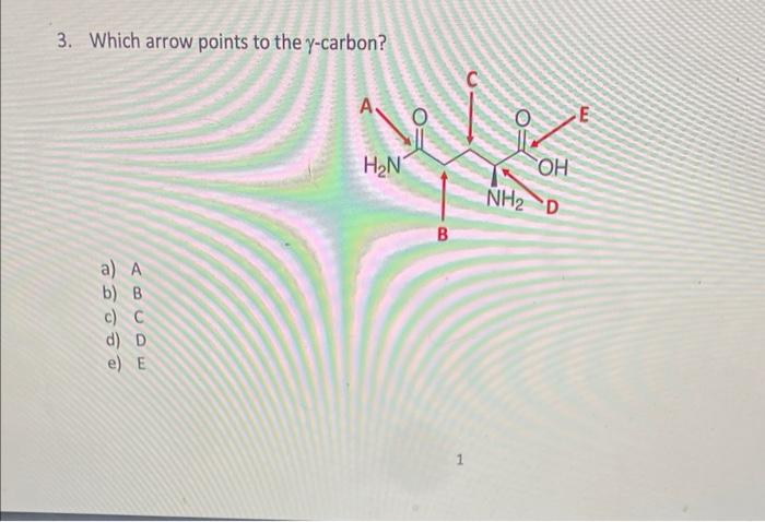 Solved 3. Which arrow points to the γ-carbon? | Chegg.com