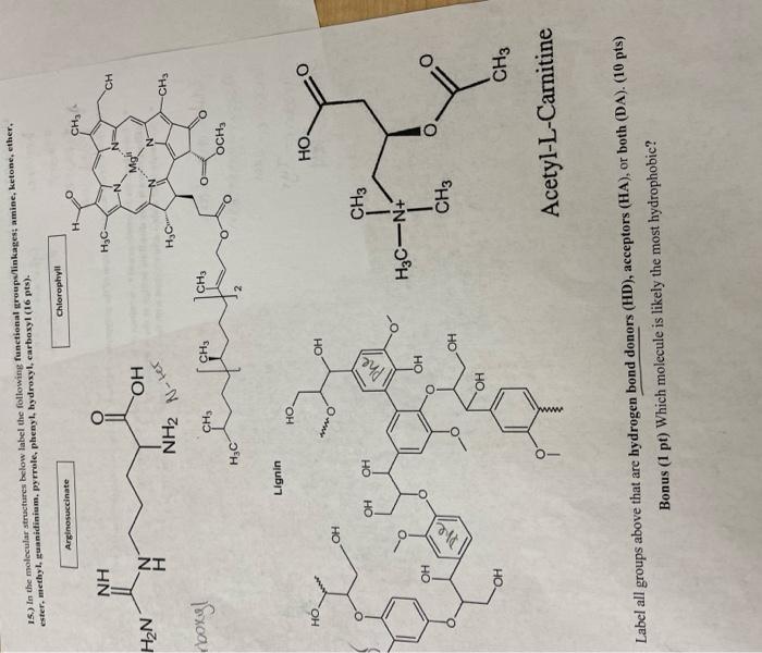 Solved IS.) In the molecular structures below label the | Chegg.com