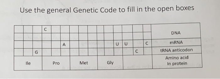 Solved Use the general Genetic Code to fill in the open | Chegg.com