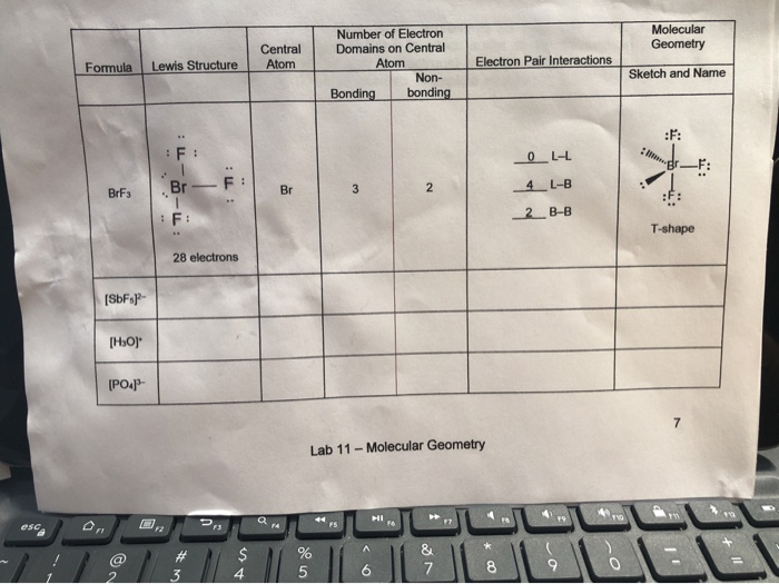 Solved Molecular Geometry Formula Central Atom Lewis | Chegg.com