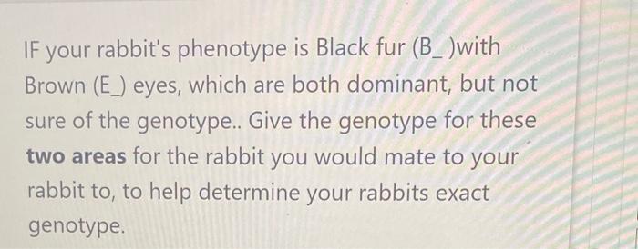 Solved IF your rabbit's phenotype is Black fur (B_) with | Chegg.com