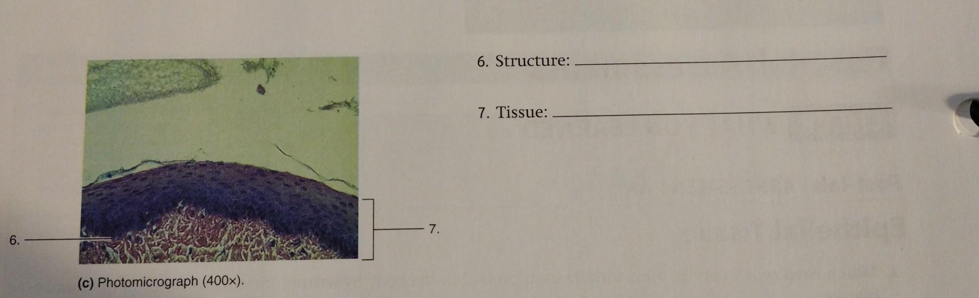 Solved 2. Complete the labeling activity in FIGURE 4.8 by | Chegg.com