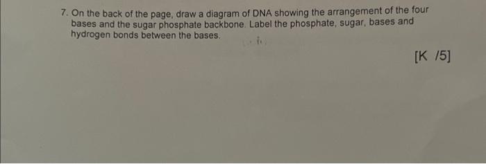 Solved 7. On the back of the page, draw a diagram of DNA | Chegg.com