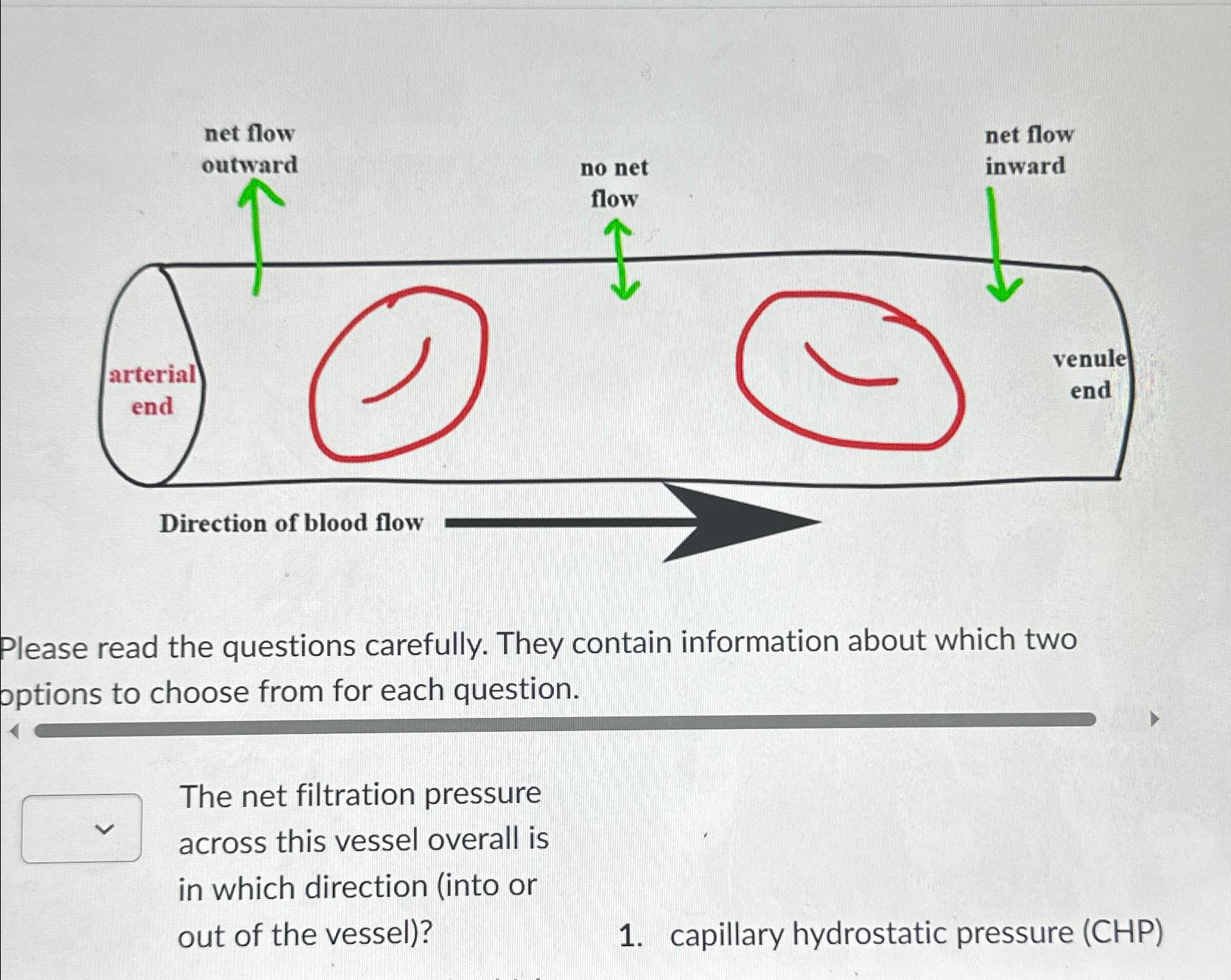 Solved Please read the questions carefully. They contain | Chegg.com
