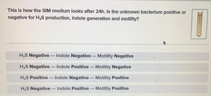 Solved This is how the SIM medium looks after 24h. Is the | Chegg.com