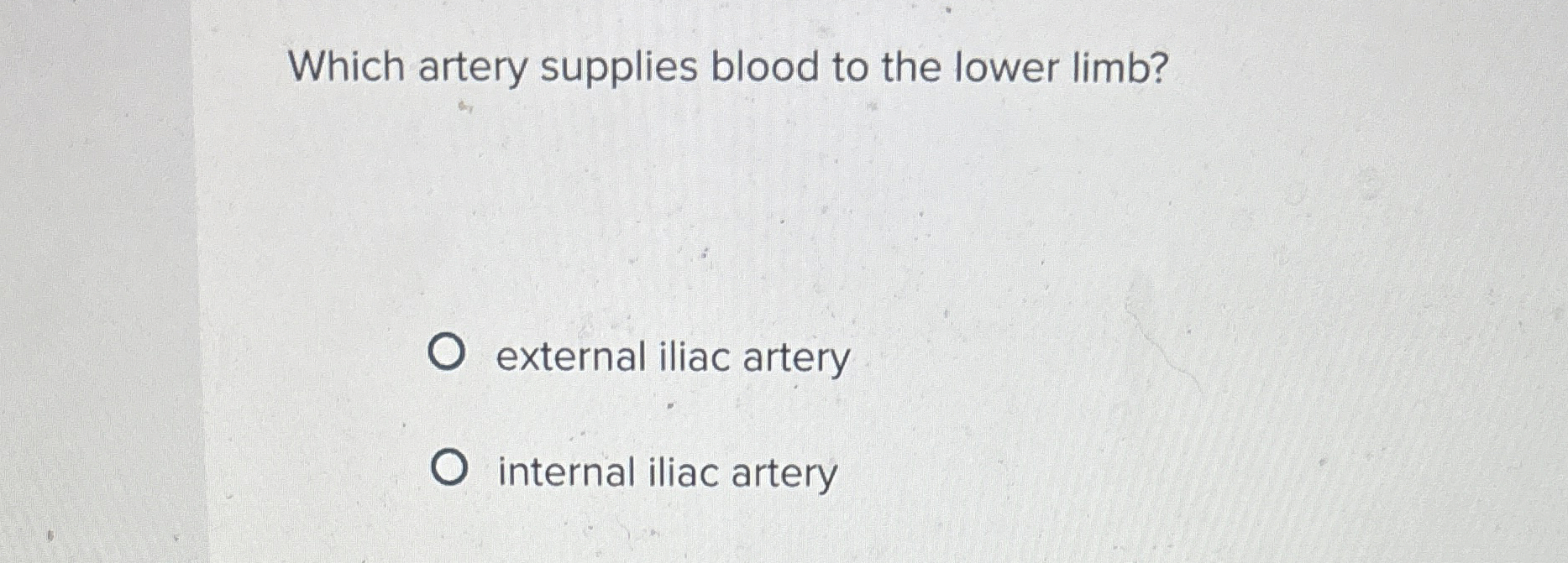 Solved Which artery supplies blood to the lower | Chegg.com
