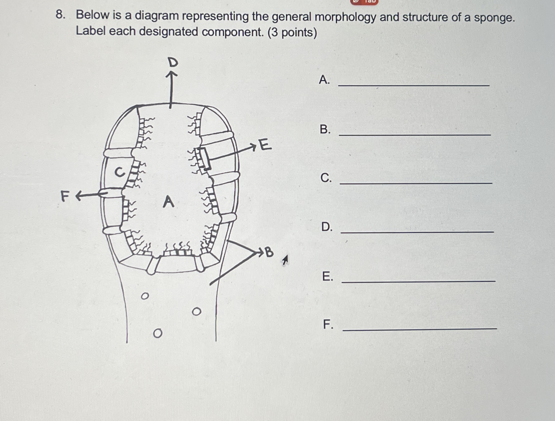 Solved Below is a diagram representing the general | Chegg.com