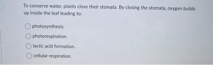 Solved To conserve water, plants close their stomata. By | Chegg.com