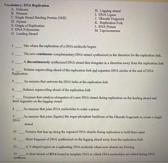 Solved Vocabulary: DNA Replication A. Helicase B. Primase C. | Chegg.com