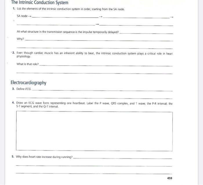 Solved The Intrinsic Conduction System 1. List the elements | Chegg.com