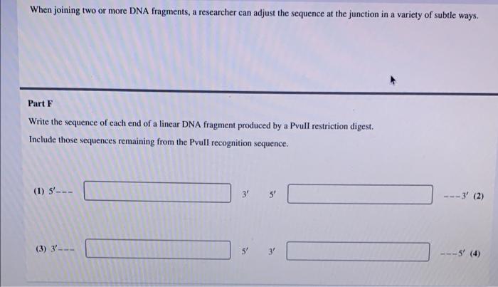 Solved Part F Write the sequence of each end of a linear DNA | Chegg.com