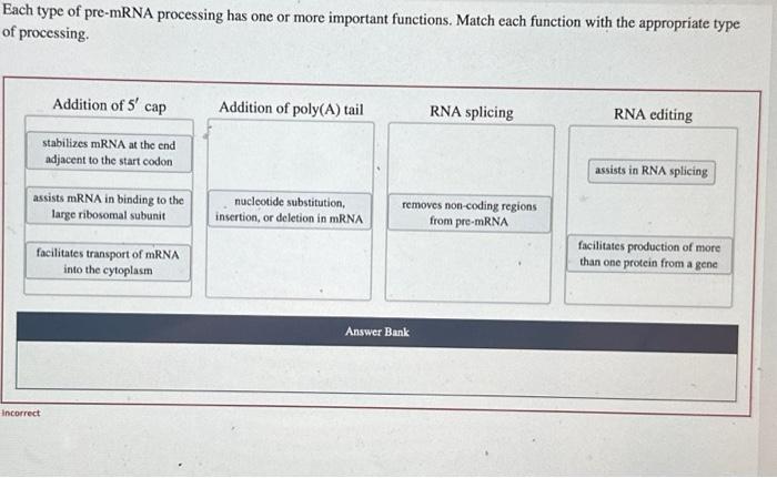 Solved Each type of pre-mRNA processing has one or more | Chegg.com