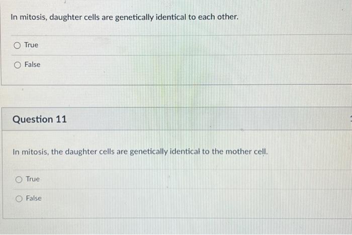 Solved In mitosis, daughter cells are genetically identical | Chegg.com