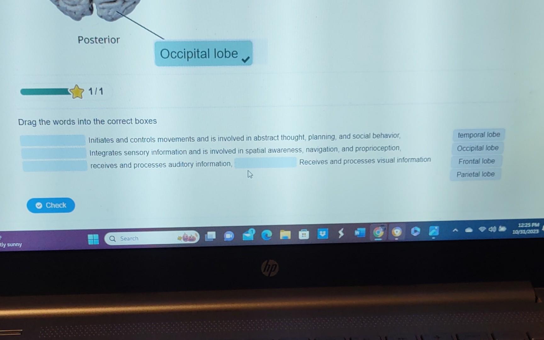 Solved Drag the words into the correct boxes Initiates and | Chegg.com