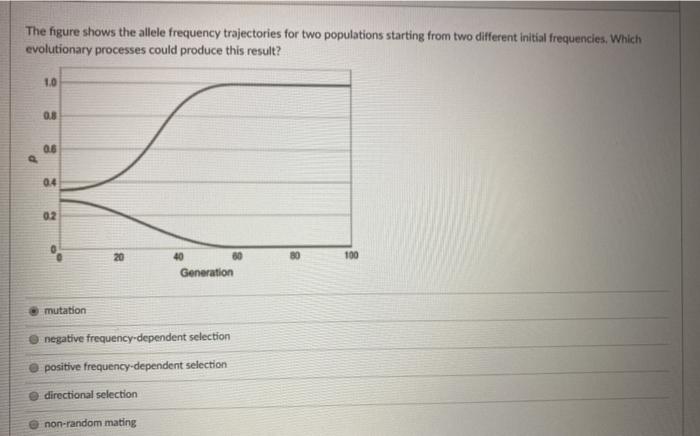Solved The figure shows the allele frequency trajectories | Chegg.com