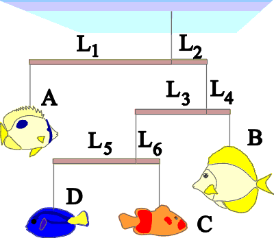 Solved The mobile in the figure below is in equilibrium.The | Chegg.com