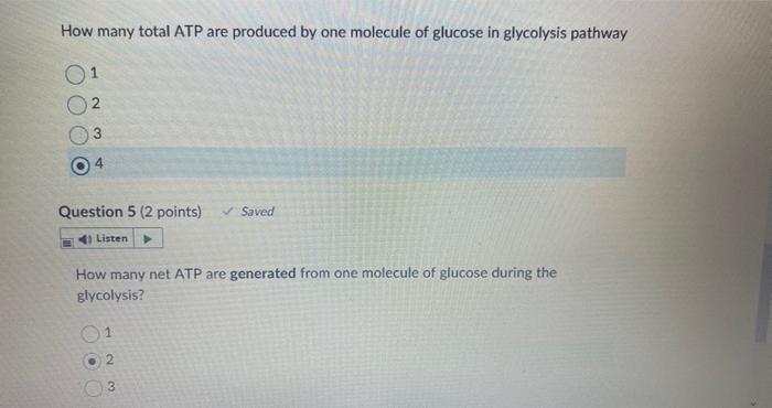 Solved How many total ATP are produced by one molecule of | Chegg.com