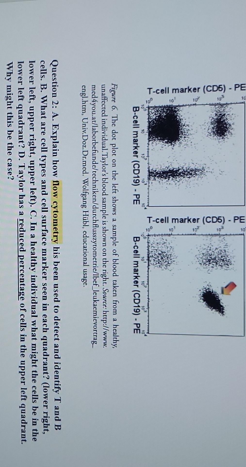 T-cell marker (CD5) - PE T-cell marker (CD5) - PE | Chegg.com