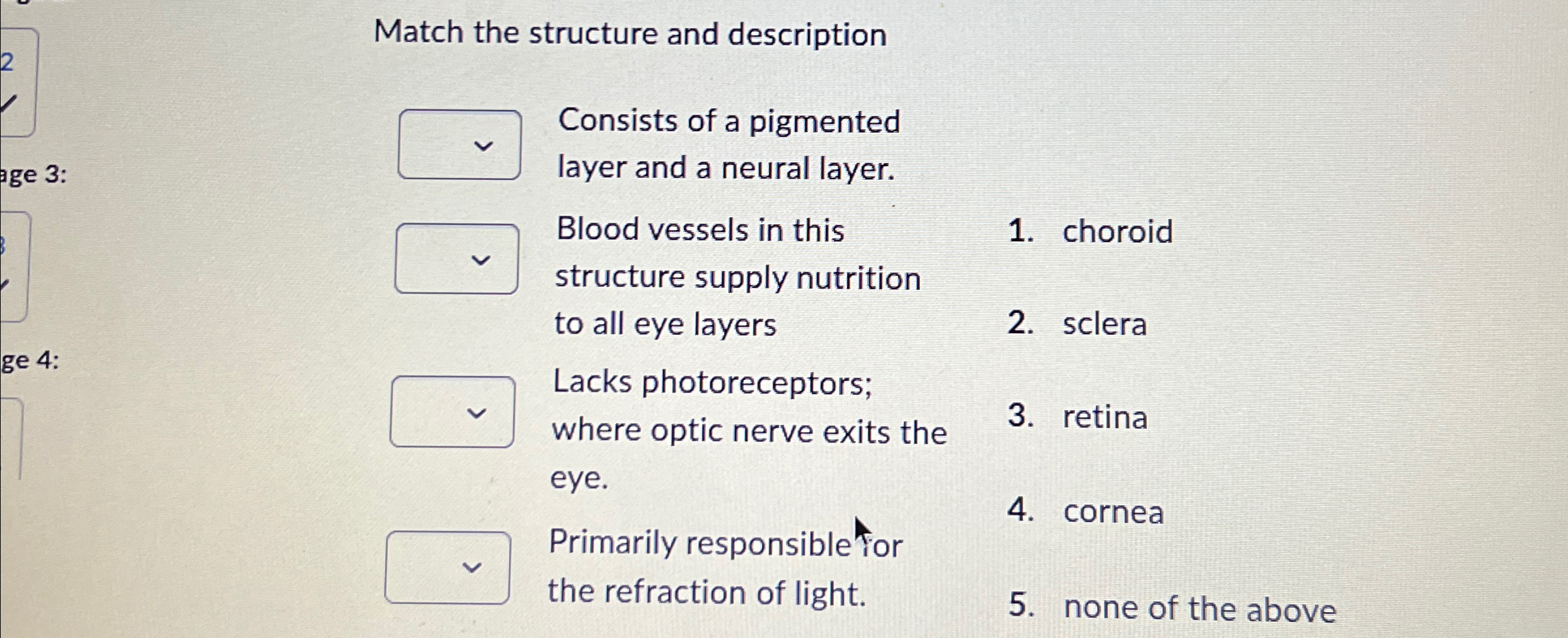 Solved Match the structure and description ﻿Consists of a | Chegg.com