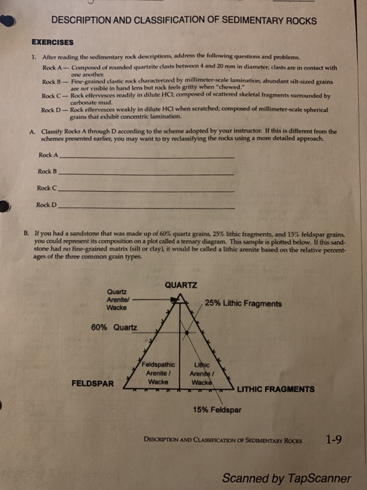 Solved DESCRIPTION AND CLASSIFICATION OF SEDIMENTARY ROCKS | Chegg.com