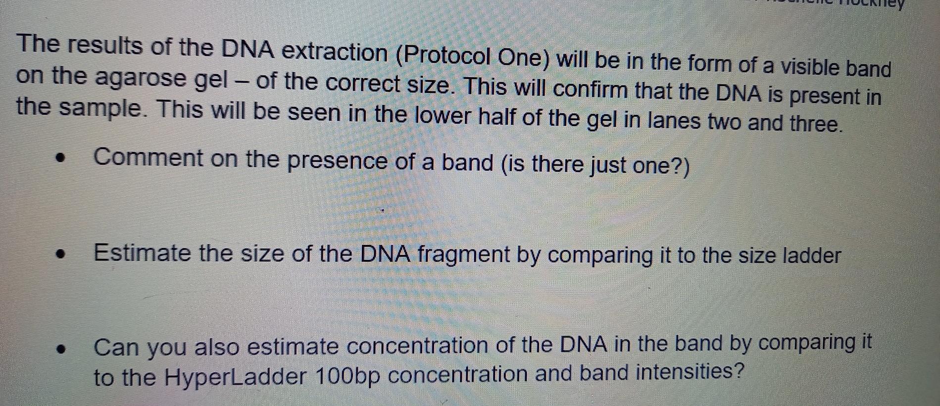 Solved hyperladder 1 kb DNA sample 1 DNA sample 2 10037 8000 | Chegg.com