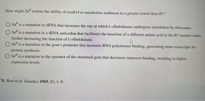 Robert Bost and Richard Cribbs studied a strain of E. | Chegg.com