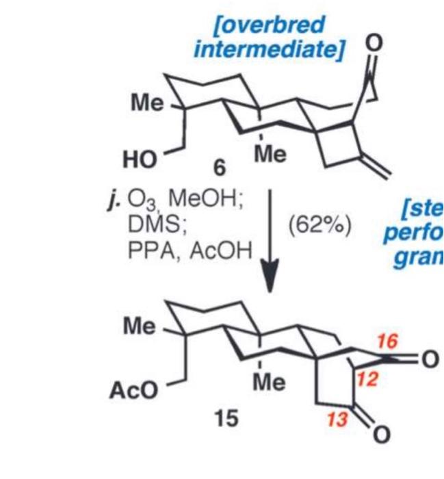 Solved complete the criegee ozonolysis curved arrow | Chegg.com