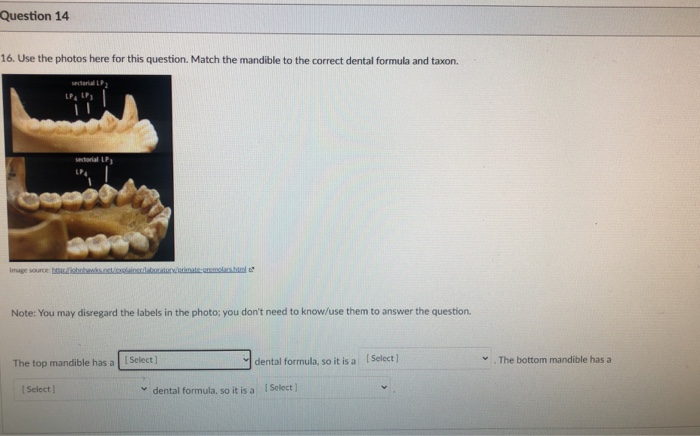 Solved Question 14 16. Use the photos here for this | Chegg.com Solved Question 14 16. Use the photos here for this | Chegg.com