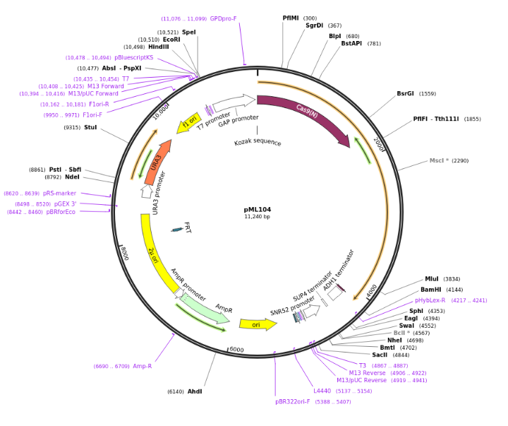 Indicate approximately where the forward and reverse | Chegg.com