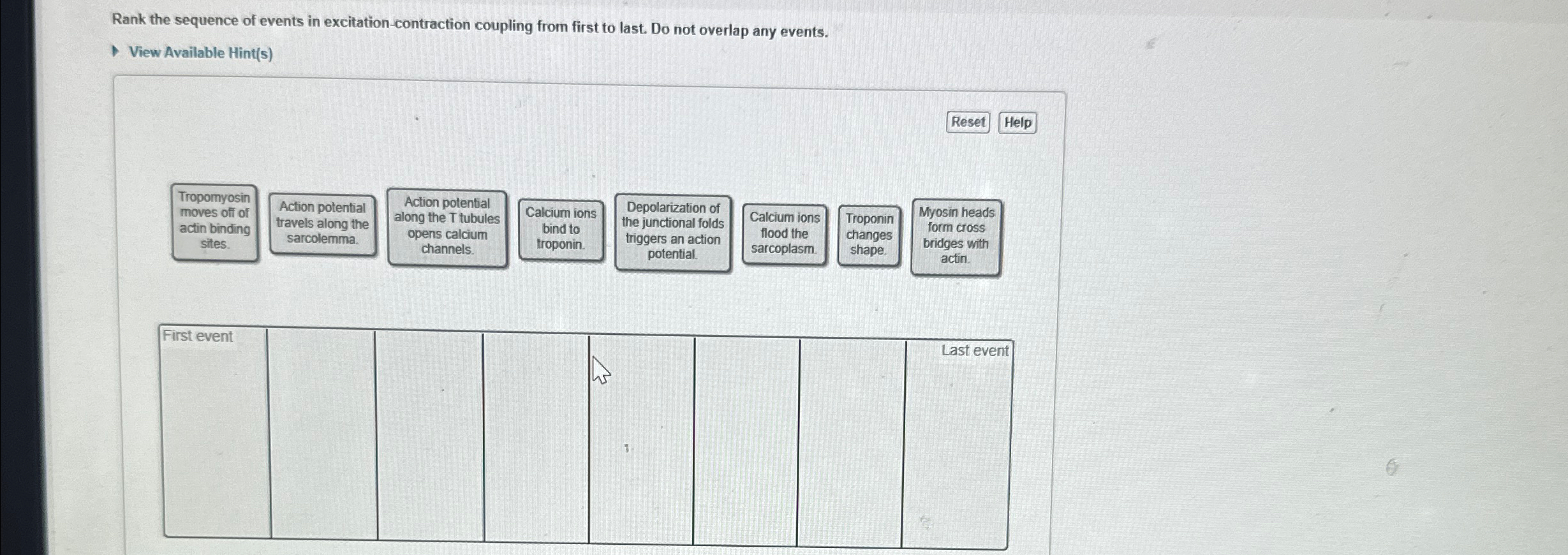 Rank the sequence of events in excitation-contraction | Chegg.com