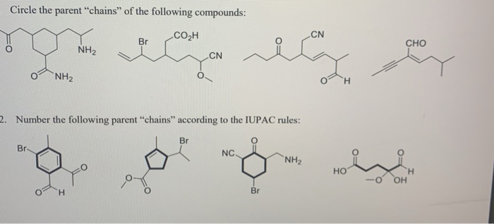 Solved Circle the parent "chains" of the following | Chegg.com