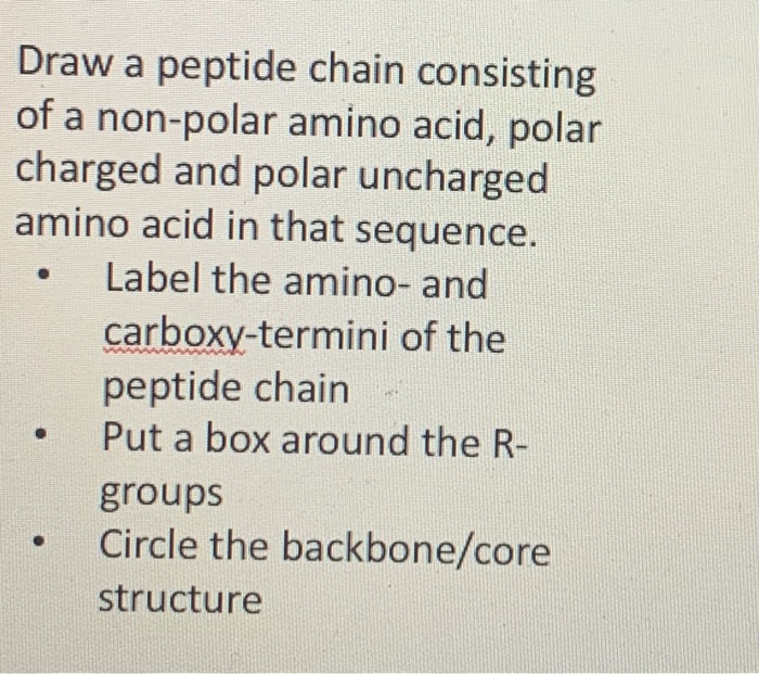 Solved Draw a peptide chain consisting of a non-polar amino | Chegg.com