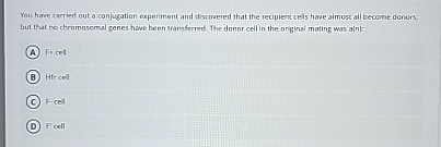 Solved You hare carried out a conjugation experiment and | Chegg.com