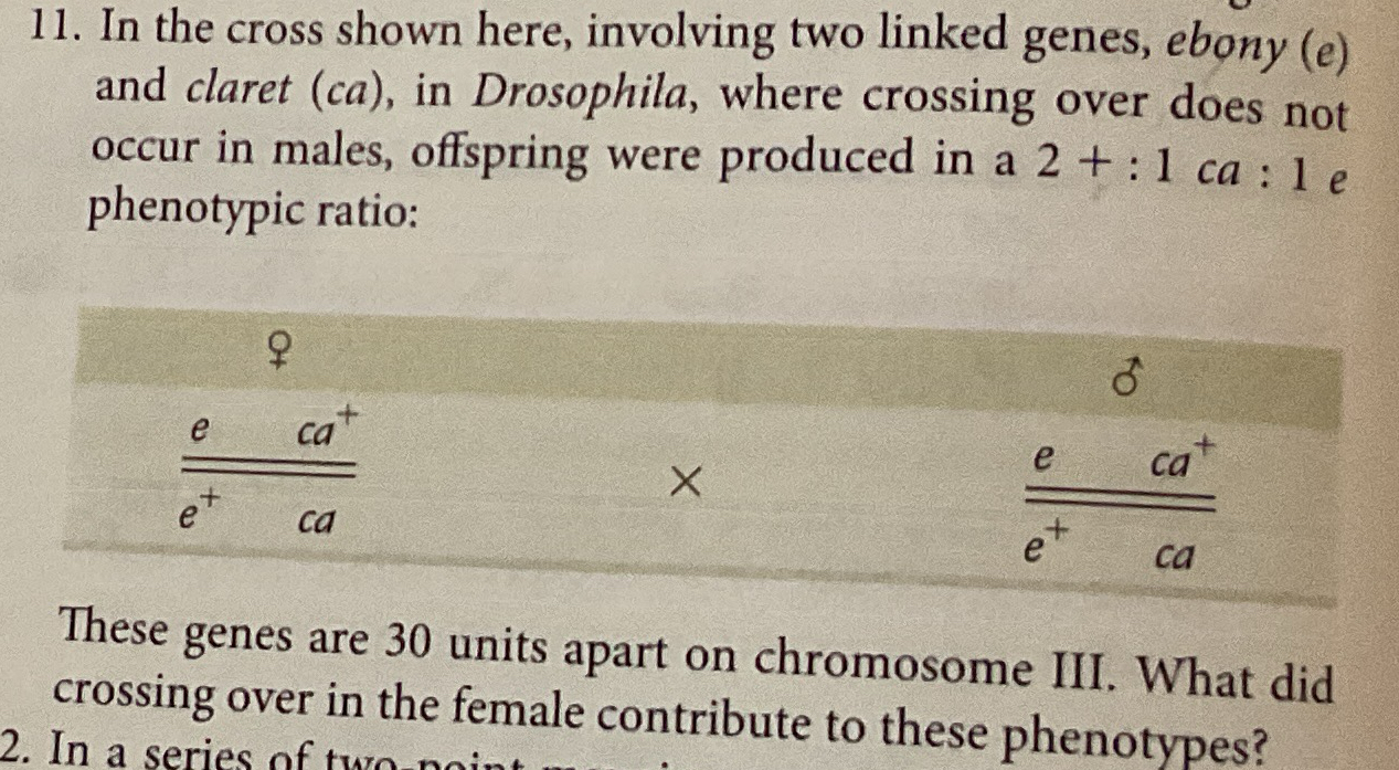 Solved In the cross shown here, involving two linked genes, | Chegg.com