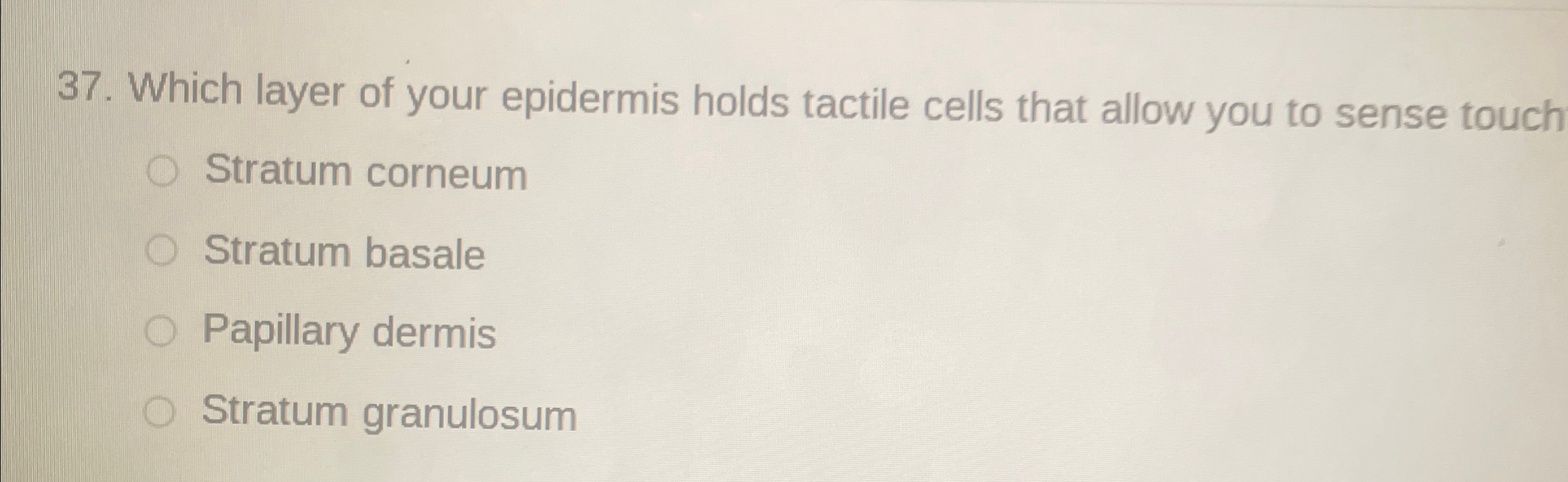 Solved Which layer of your epidermis holds tactile cells | Chegg.com