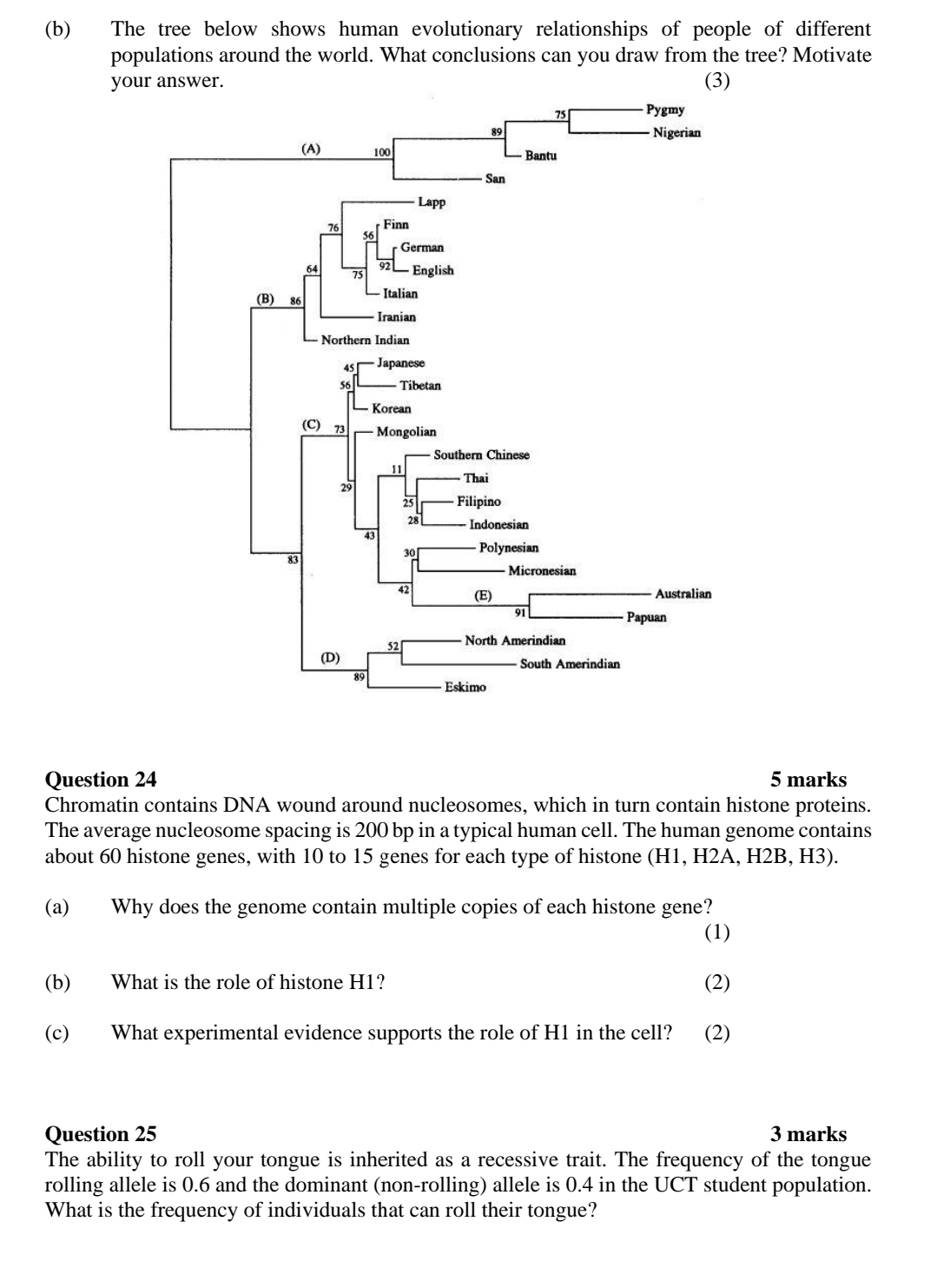 Solved (b) ﻿The tree below shows human evolutionary | Chegg.com