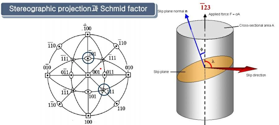 Solved Stereographic projection and Schmid factor At FCC, | Chegg.com