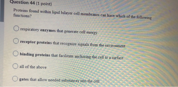 Solved Question 41 (1 point) A suitable definition for the | Chegg.com