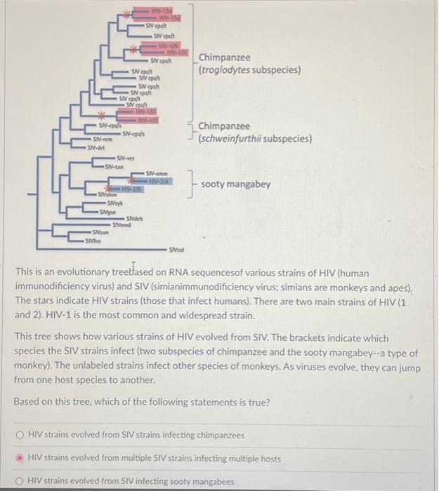 Solved This is an evolutionary treebased on RNA sequencesof | Chegg.com