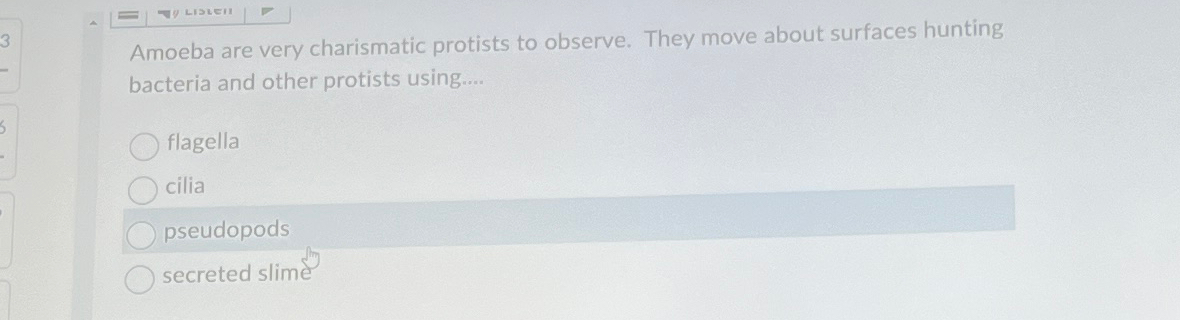Solved Amoeba are very charismatic protists to observe. They | Chegg.com