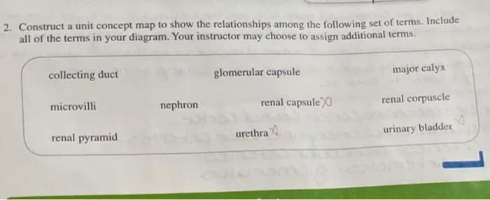 Solved 2. Construct a unit concept map to show the | Chegg.com