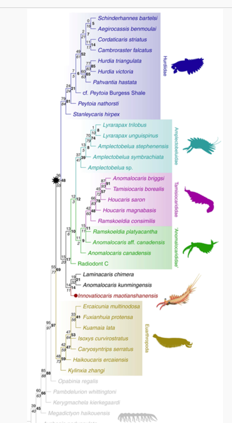 Solved Radiodonts are extinct predatory arthropods that | Chegg.com