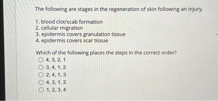 Solved The following are stages in the regeneration of skin | Chegg.com