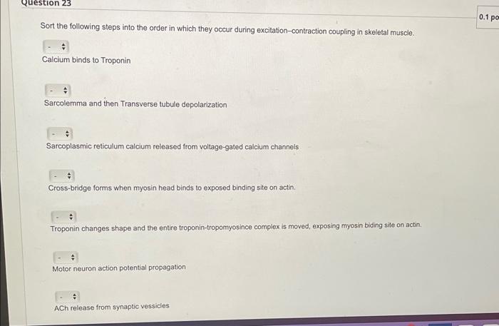 Solved Sort the following steps into the order in which they | Chegg.com